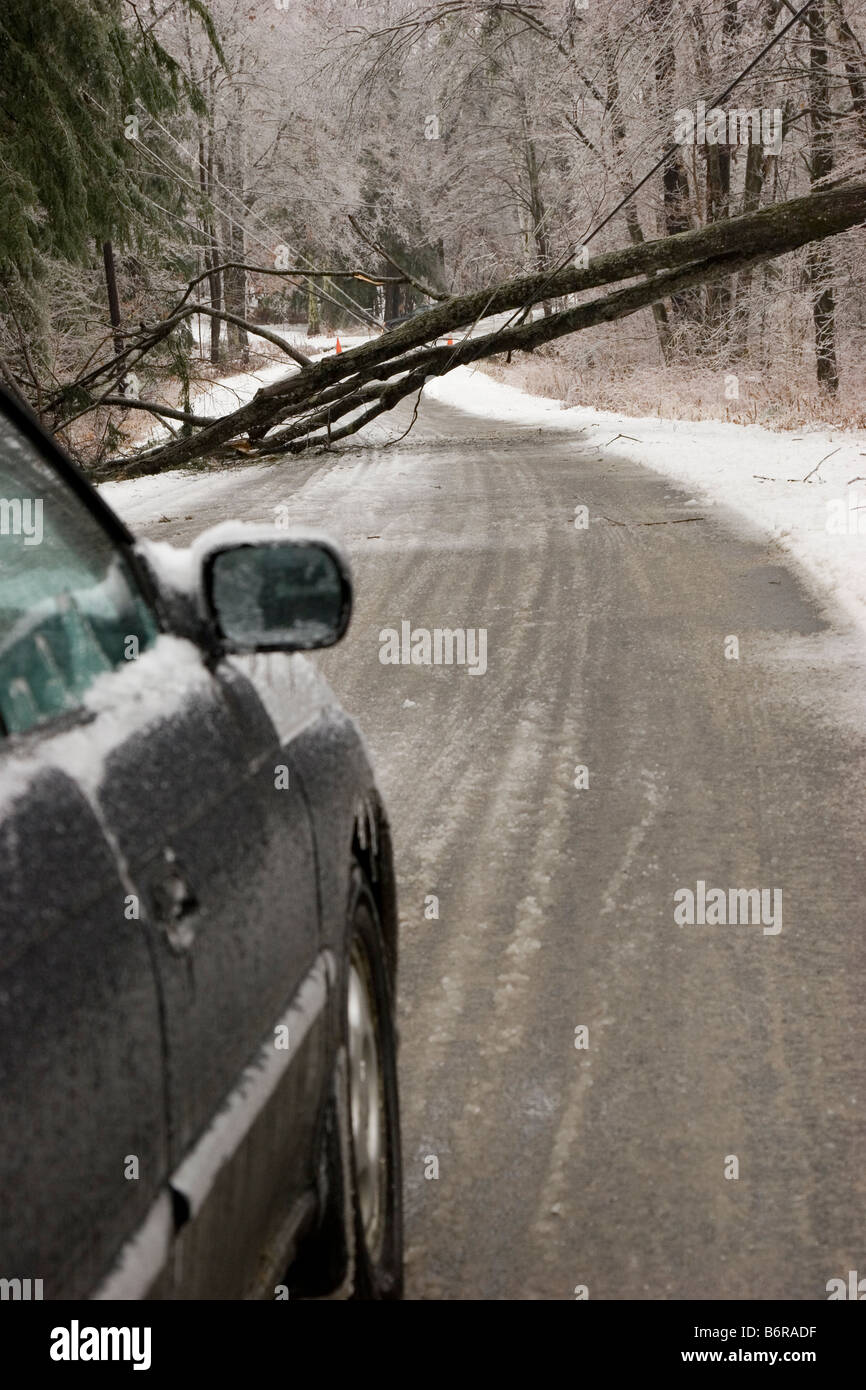 Tree fallen across power line and road in front of car Stock Photo - Alamy