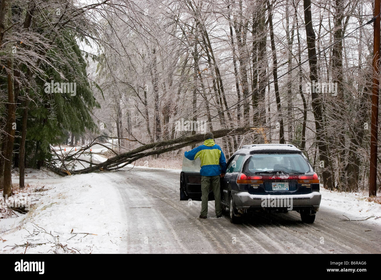 Tree fallen across power line and road in front of car blocking roadway ...