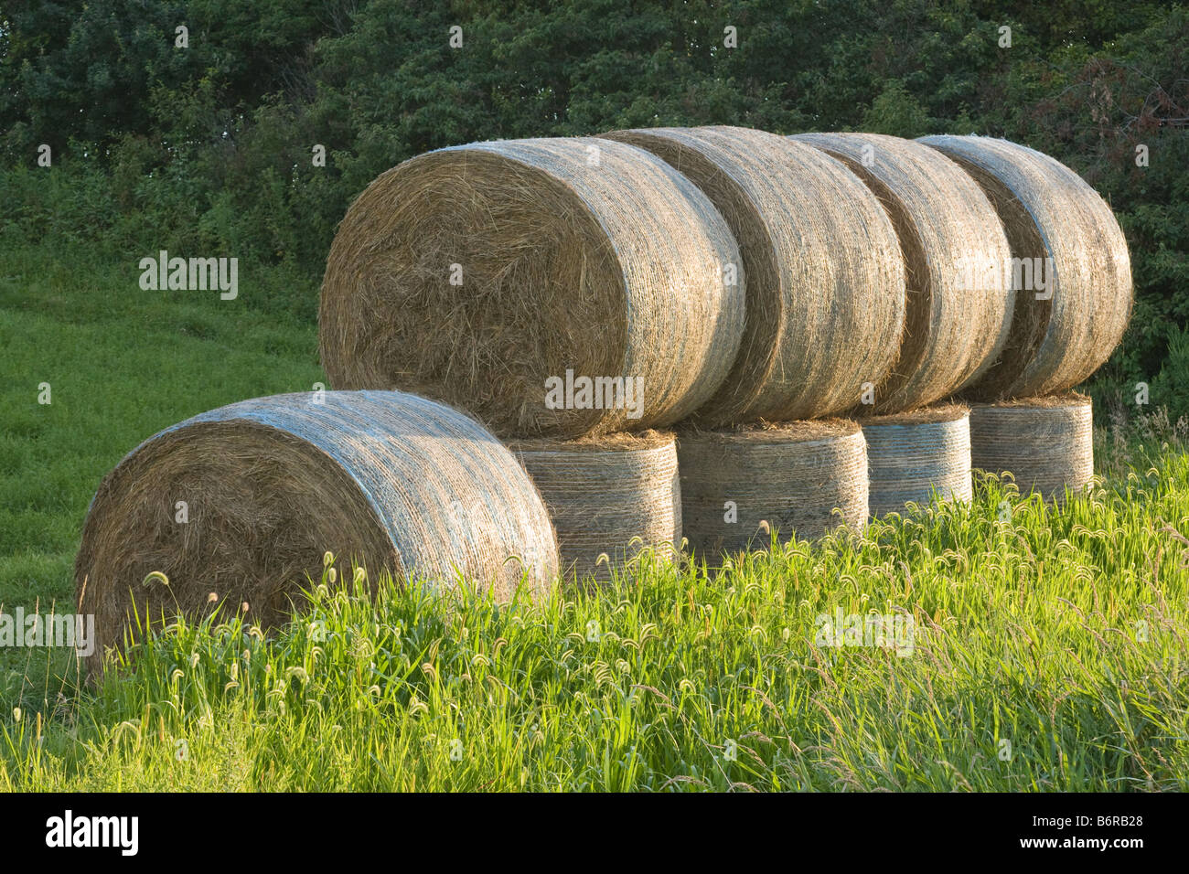 Stacked haybales in field Stock Photo - Alamy