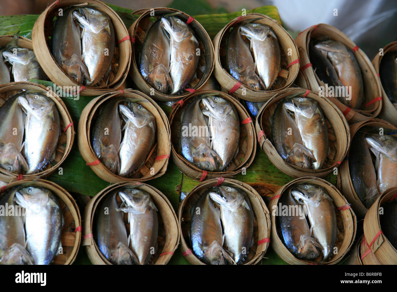 Pla Too from Amphawa Floating Market, Thailand Stock Photo - Alamy
