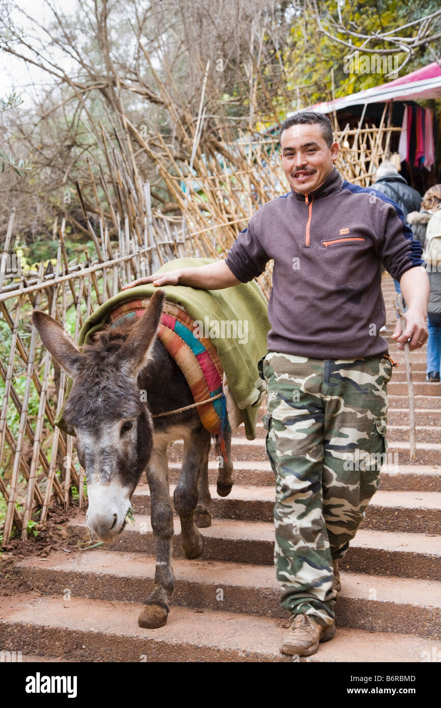 Man Walking Donkey Stock Photos & Man Walking Donkey Stock Images - Alamy