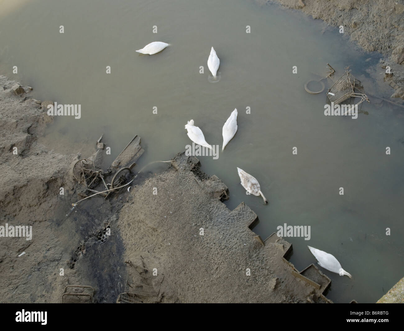 Dumping litter hi-res stock photography and images - Alamy