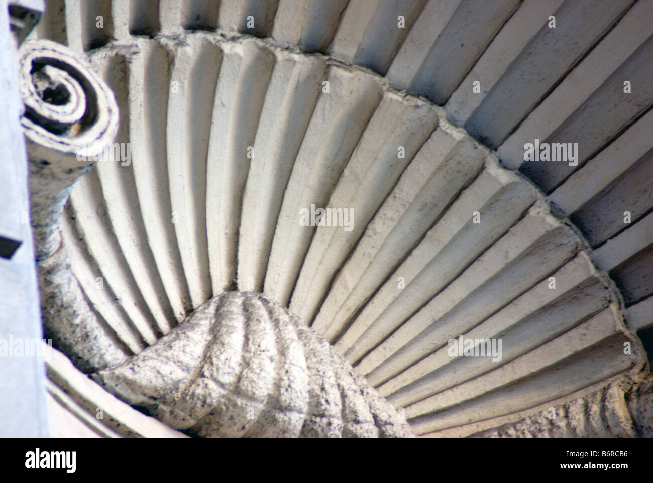 Close-up of classical style Roman shell relief Stock Photo - Alamy