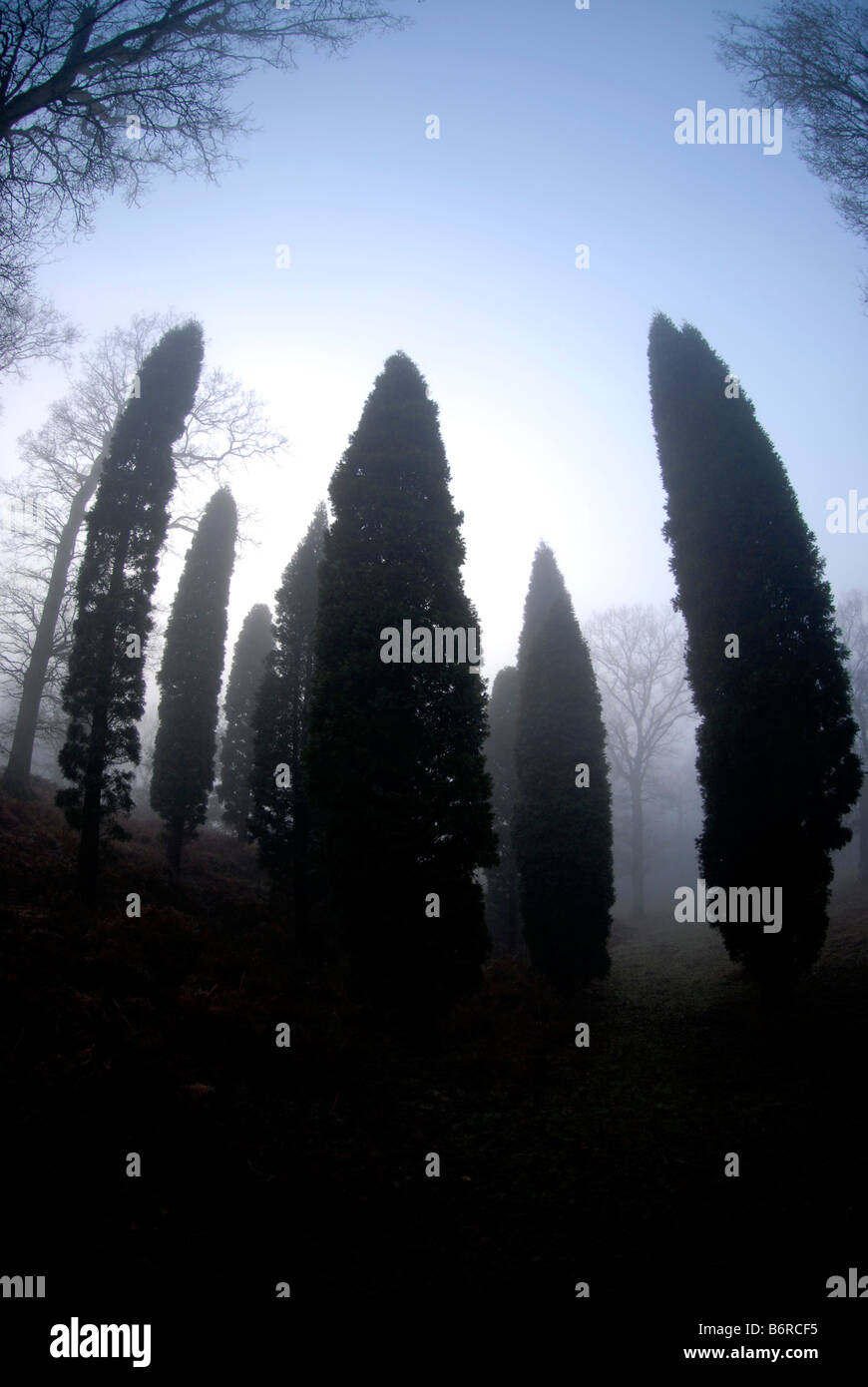 Wakehurst place gardens hi-res stock photography and images - Alamy