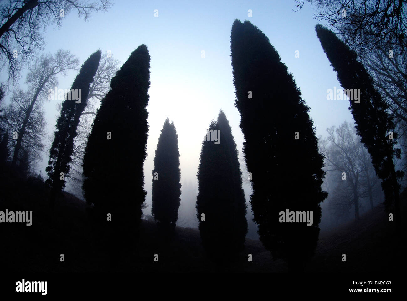 Wakehurst place gardens hi-res stock photography and images - Alamy