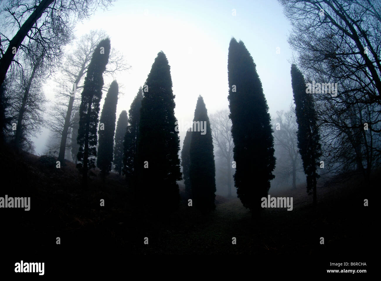 Wakehurst place gardens hi-res stock photography and images - Alamy