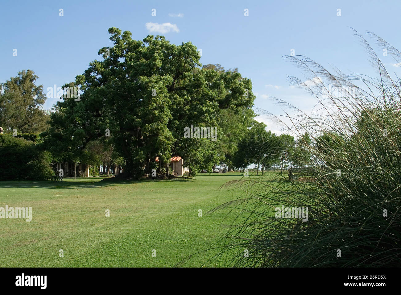 Estancia El Ombu Stock Photo - Alamy