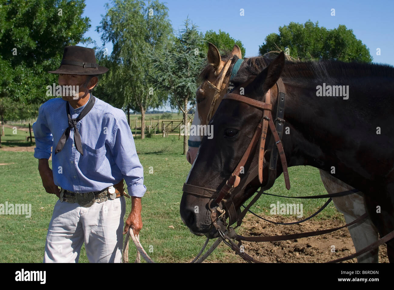 Estancia El Ombu, Argentina Stock Photo - Alamy