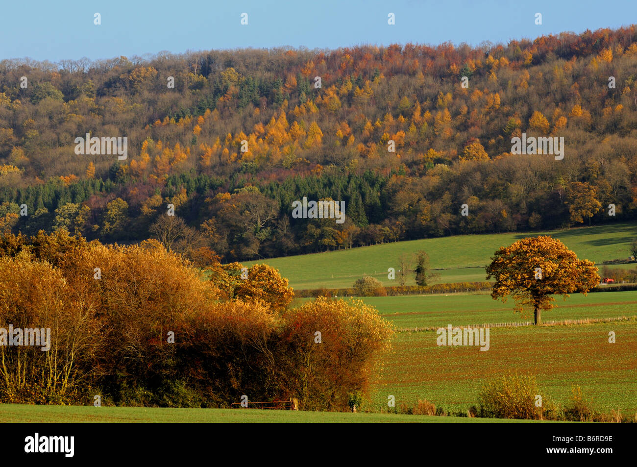 Autumn on Wenlock Edge, Shropshire, England, UK Stock Photo - Alamy