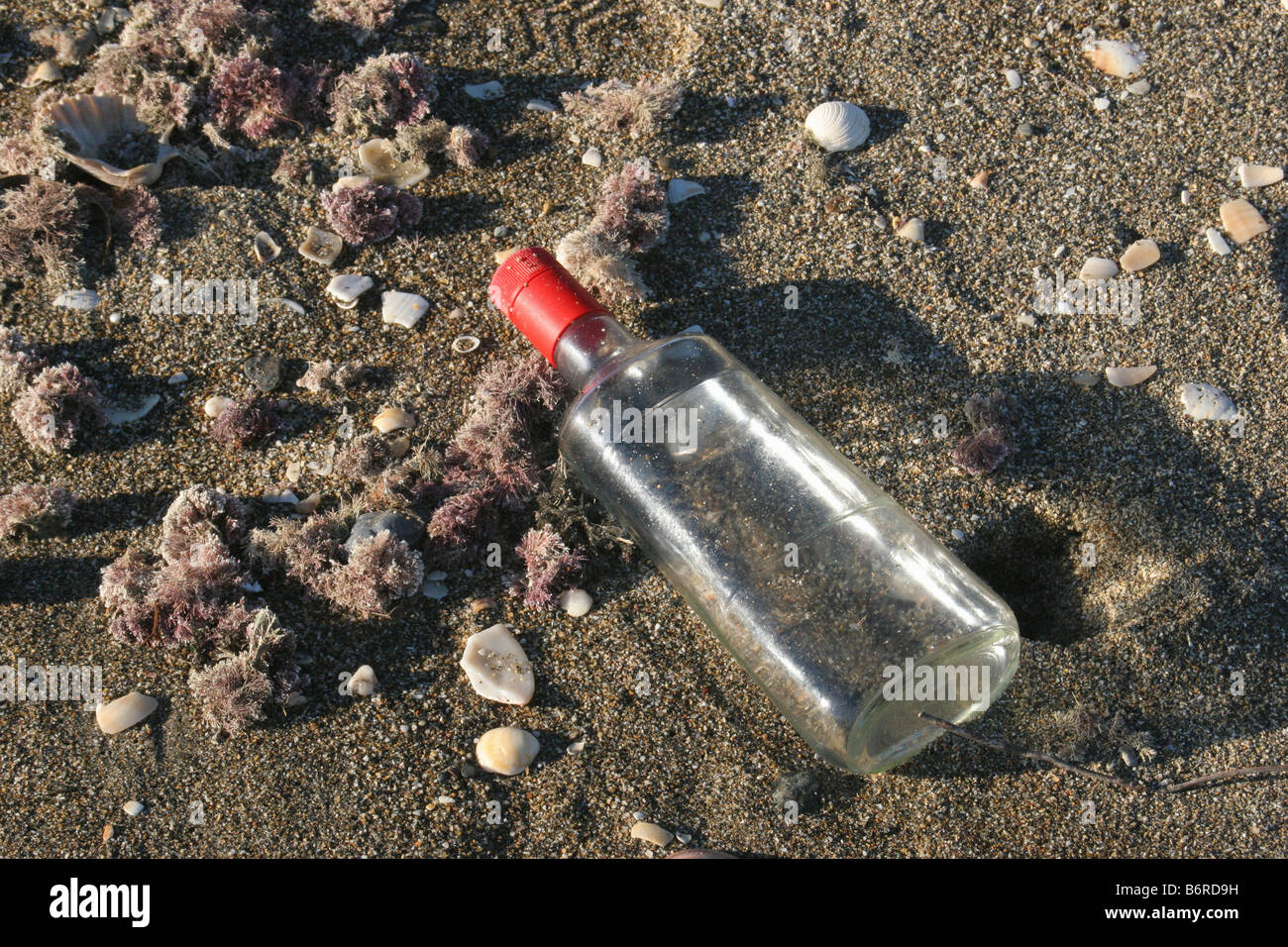 Empty alcohol bottle on the beach Stock Photo - Alamy
