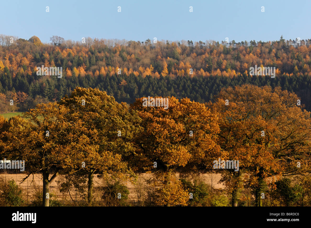 Wenlock edge view hi-res stock photography and images - Alamy
