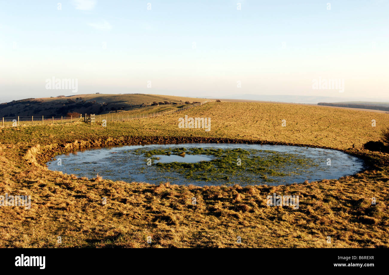 A dew pond at Ditchling Beacon on the South Downs in Sussex UK Stock ...