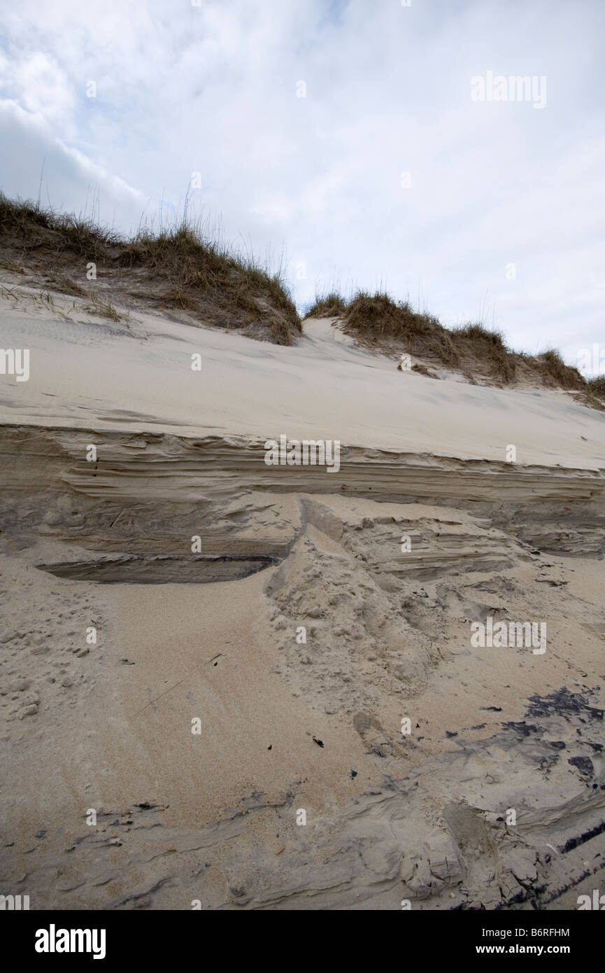 Erosion of the sand dunes in the Outer Banks NC Stock Photo - Alamy