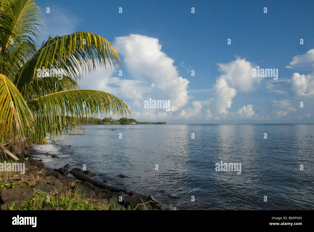 Coconut tree and beach, tropical rain clouds Stock Photo - Alamy