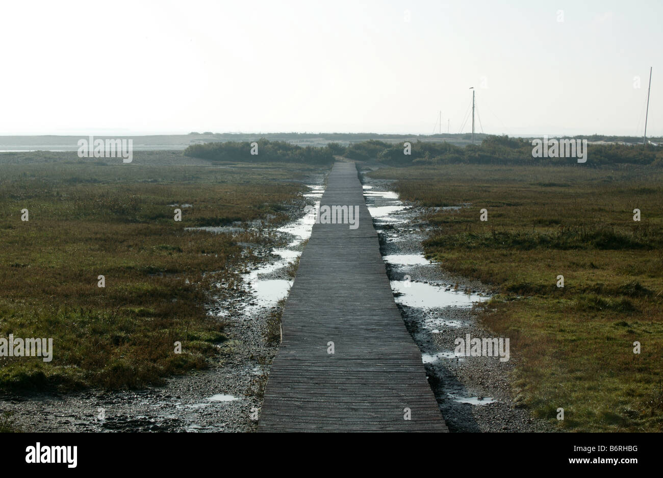 Walkway or path across marshland on Mersea Essex in the winter months ...