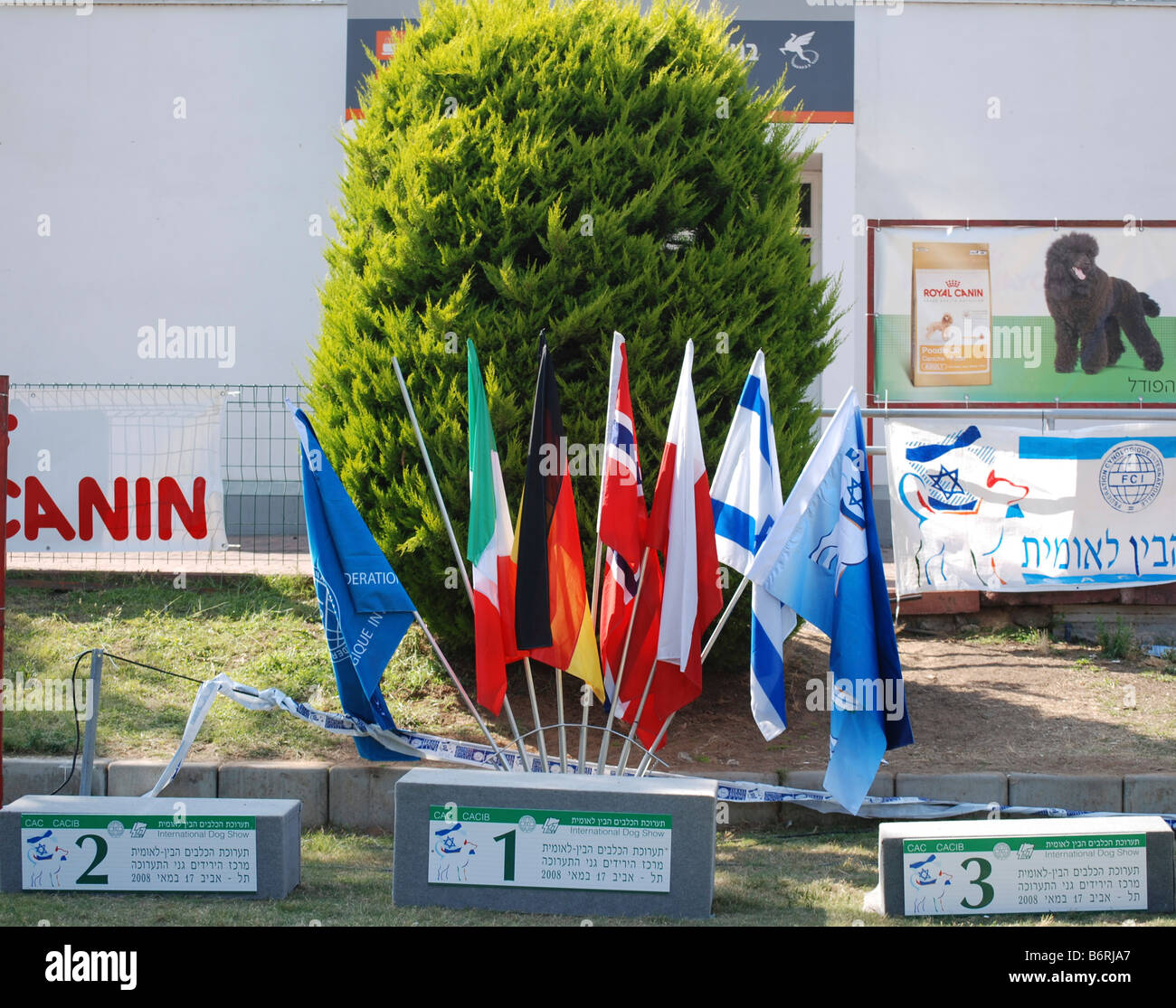 Dog show competitions hi-res stock photography and images - Alamy