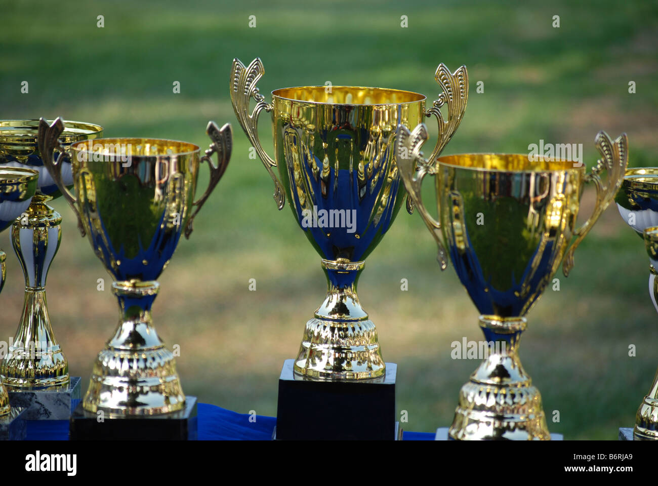 International dog show hi-res stock photography and images - Alamy