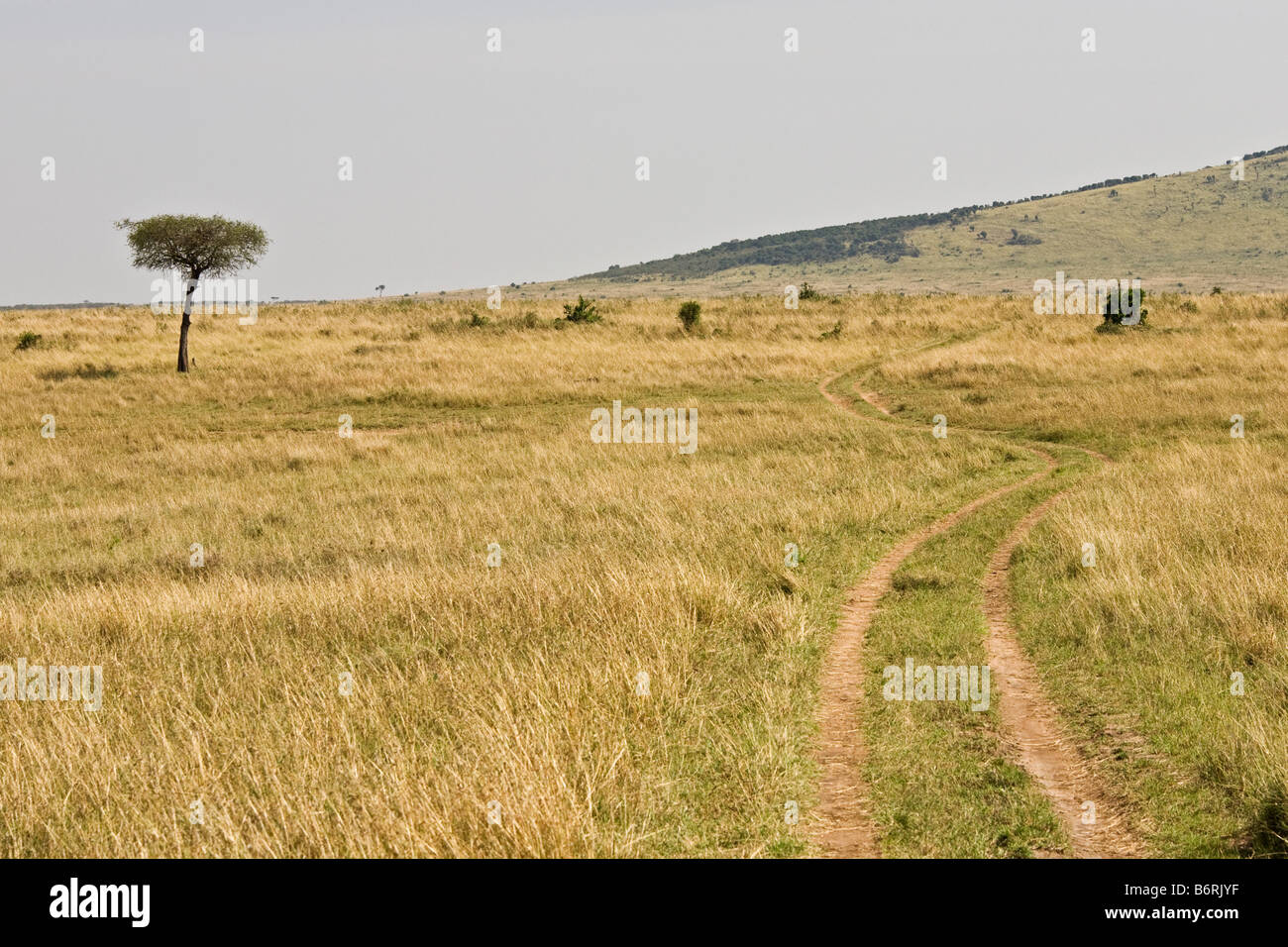 Empty landscape hi-res stock photography and images - Alamy