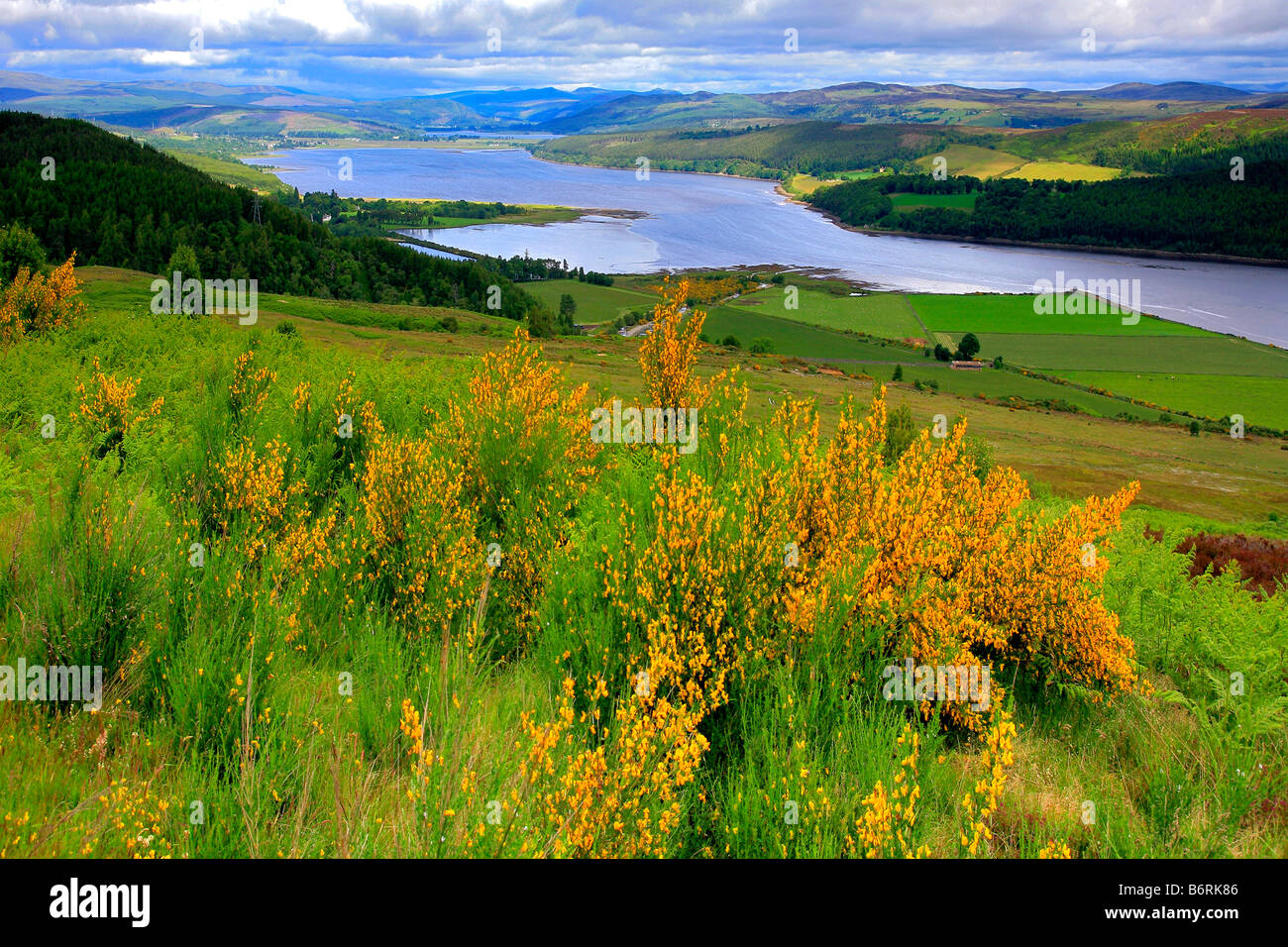 Landscape Summer view over Dornoch Firth from Struie to Bonnar Bridge ...