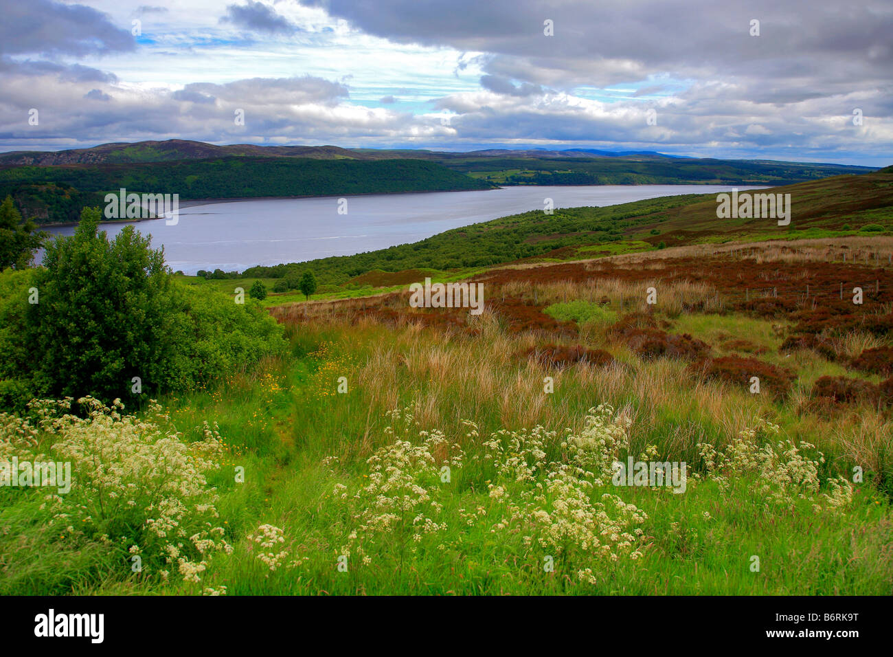 Landscape Summer view over Dornoch Firth from Struie to Bonnar Bridge ...
