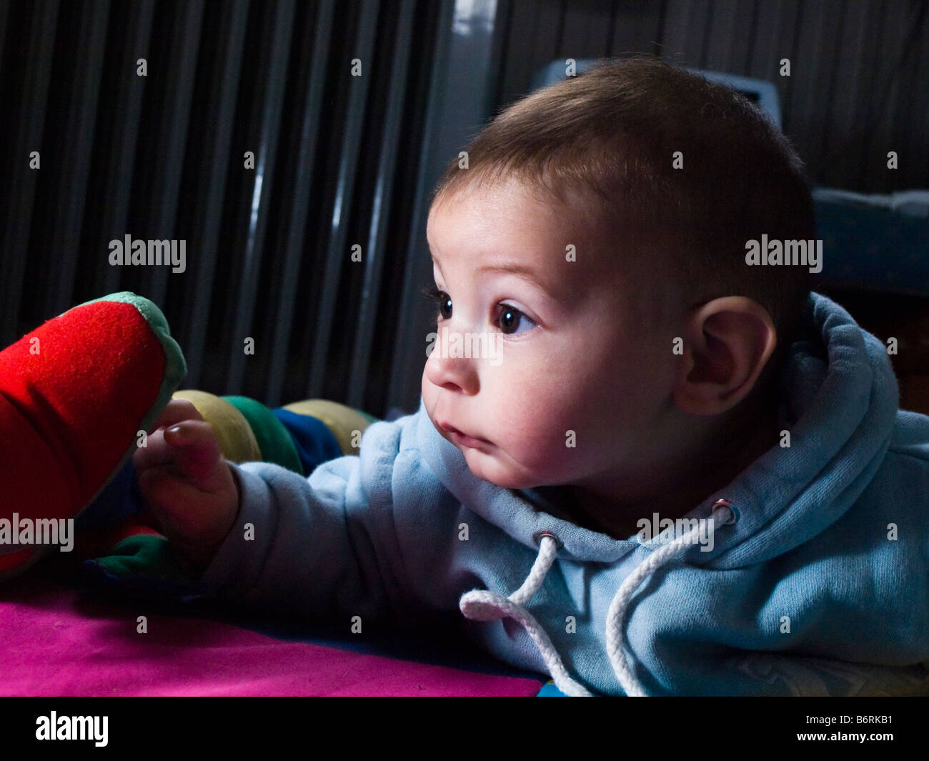 Curios hi-res stock photography and images - Alamy