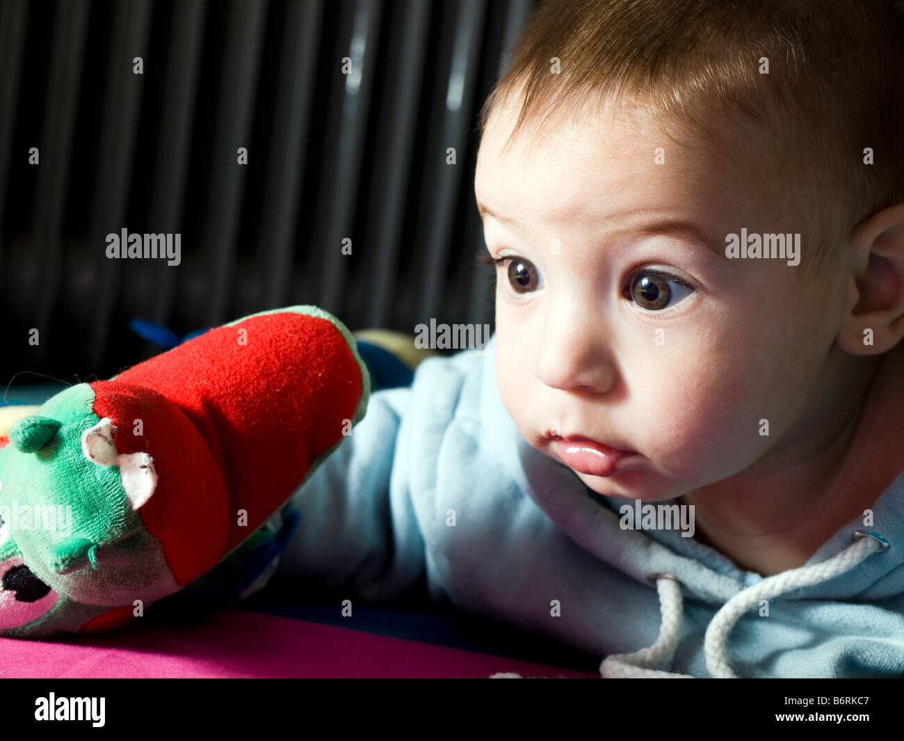 baby curios on the ground lying Stock Photo - Alamy