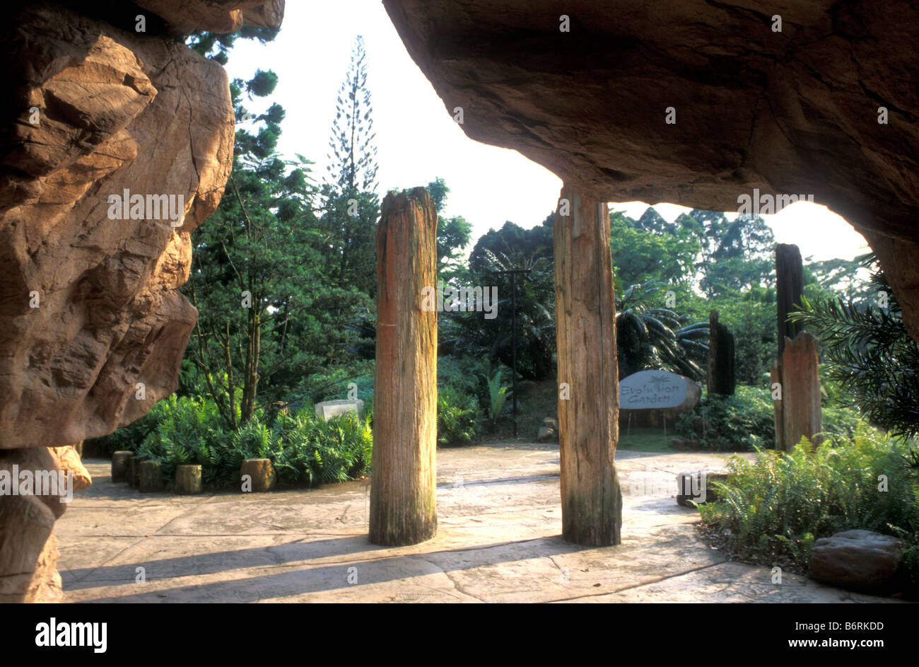 petrified trees evolution garden botanical gardens singapore Stock ...