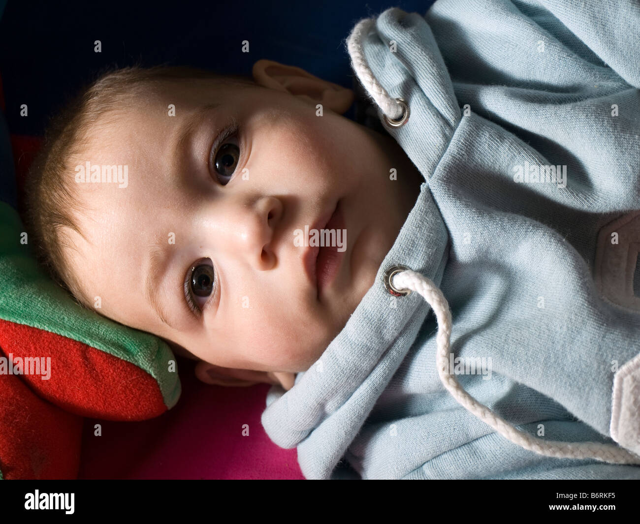baby curios on the ground lying Stock Photo - Alamy