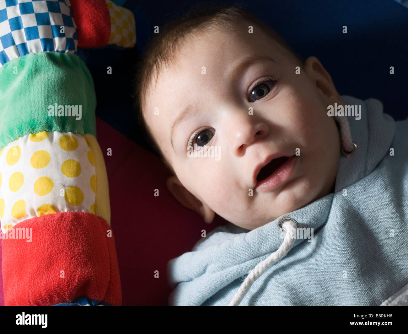 baby curios on the ground lying Stock Photo - Alamy