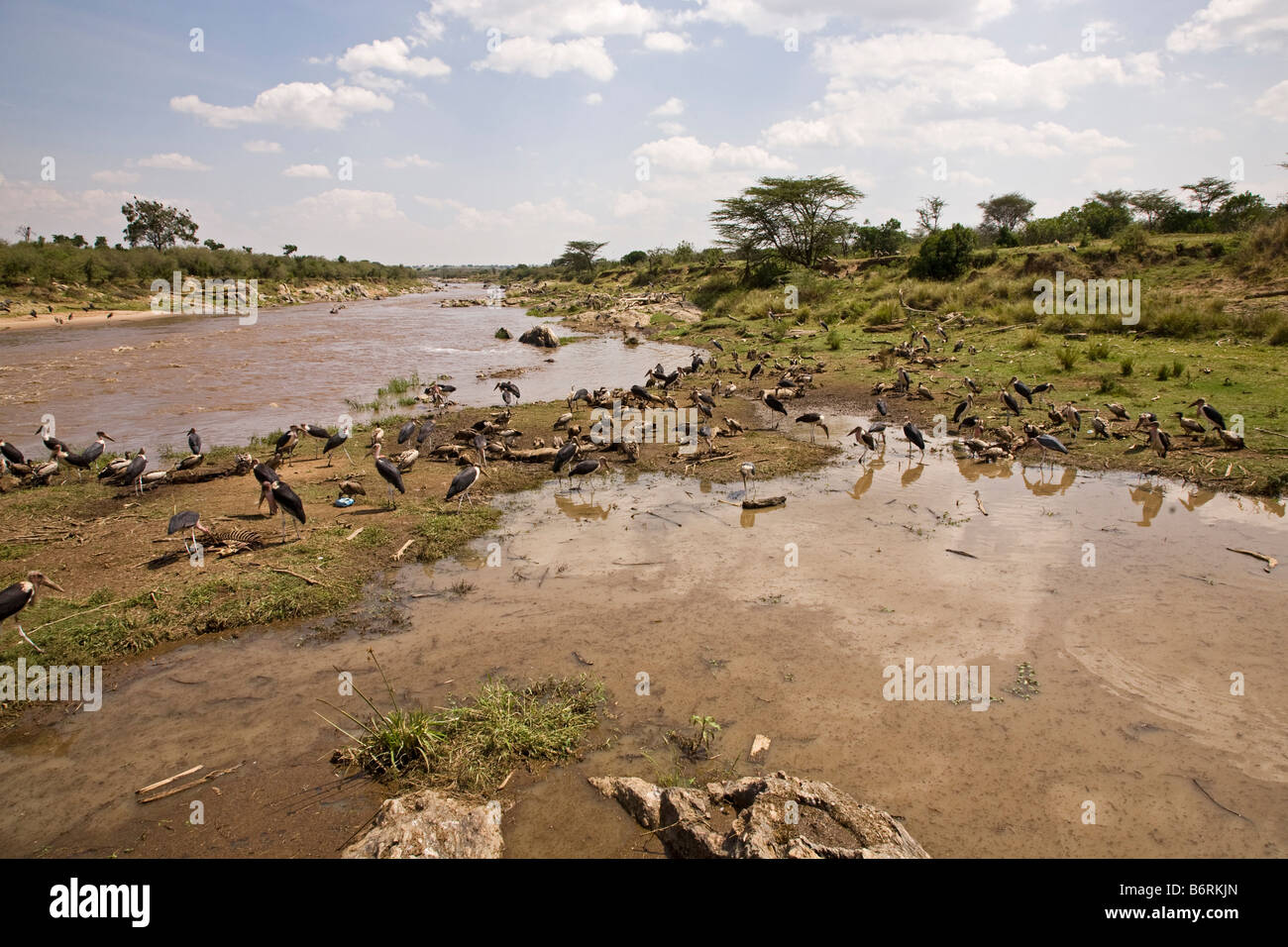 Masai Mara Game Park Kenya Africa Stock Photo - Alamy