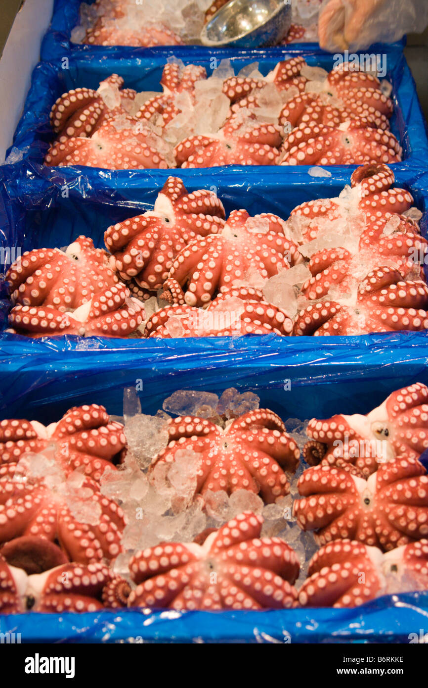 Tokyo fish markets hi-res stock photography and images - Alamy