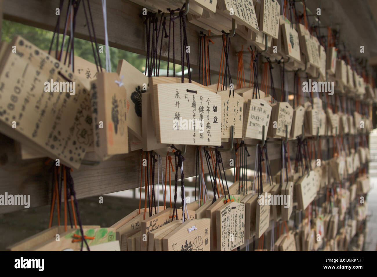 Prayers written on small wooden blocks under the Wishing Tree Meiji ...