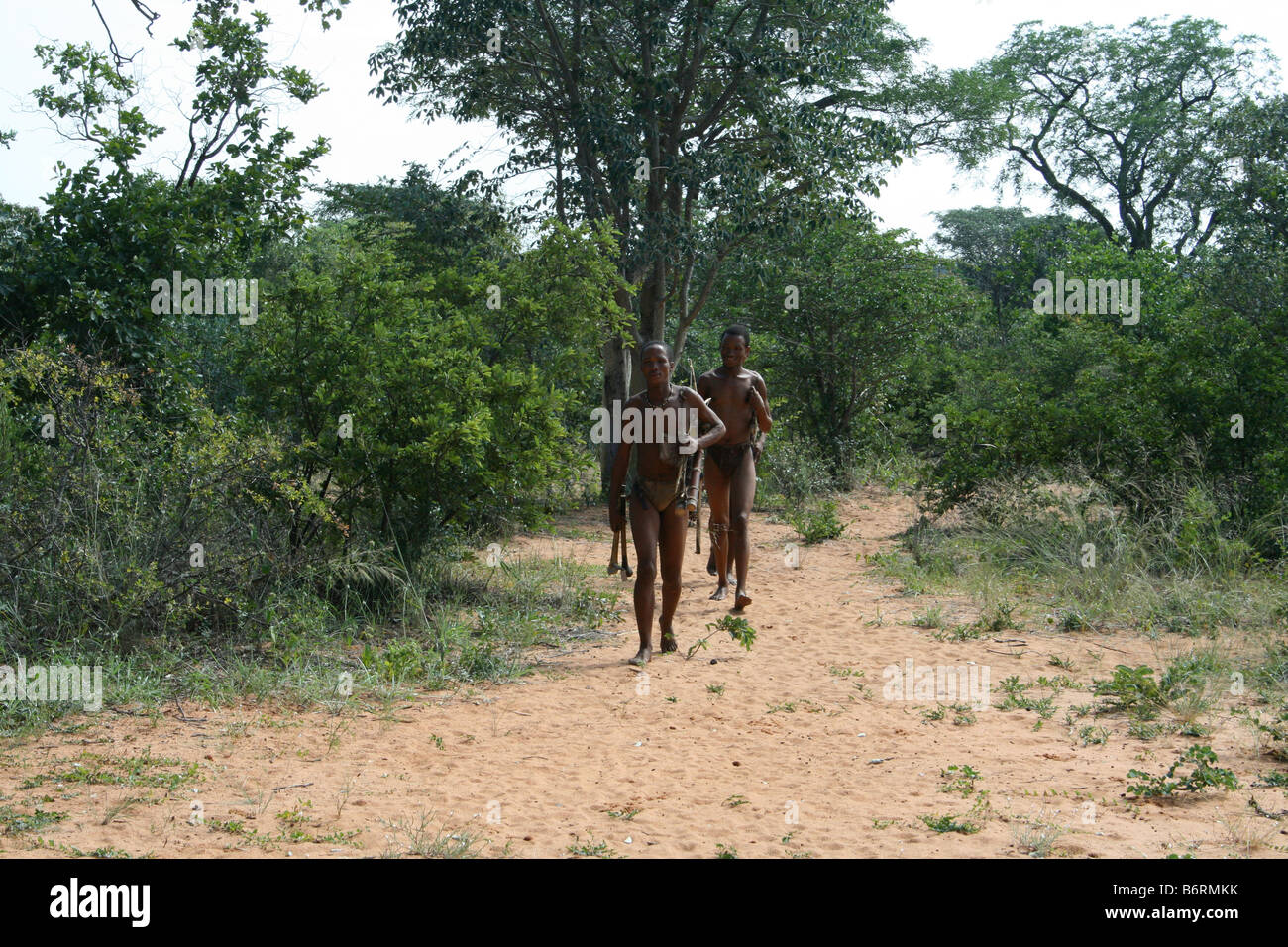 Bushmen hunters kalahari hi-res stock photography and images - Alamy