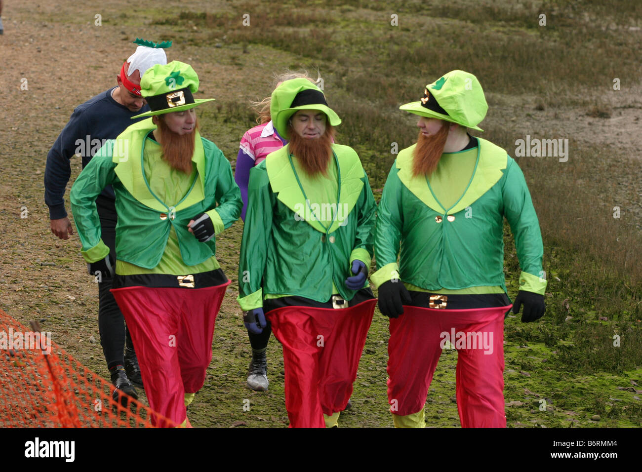 Lepricon hi-res stock photography and images - Alamy