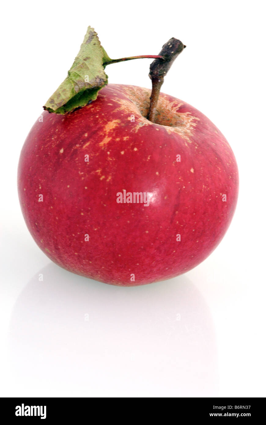 Apple with stalk and leaf hi-res stock photography and images - Alamy