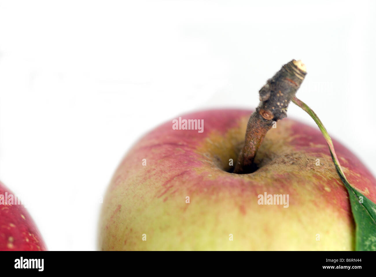 Apple and stalk Stock Photo - Alamy