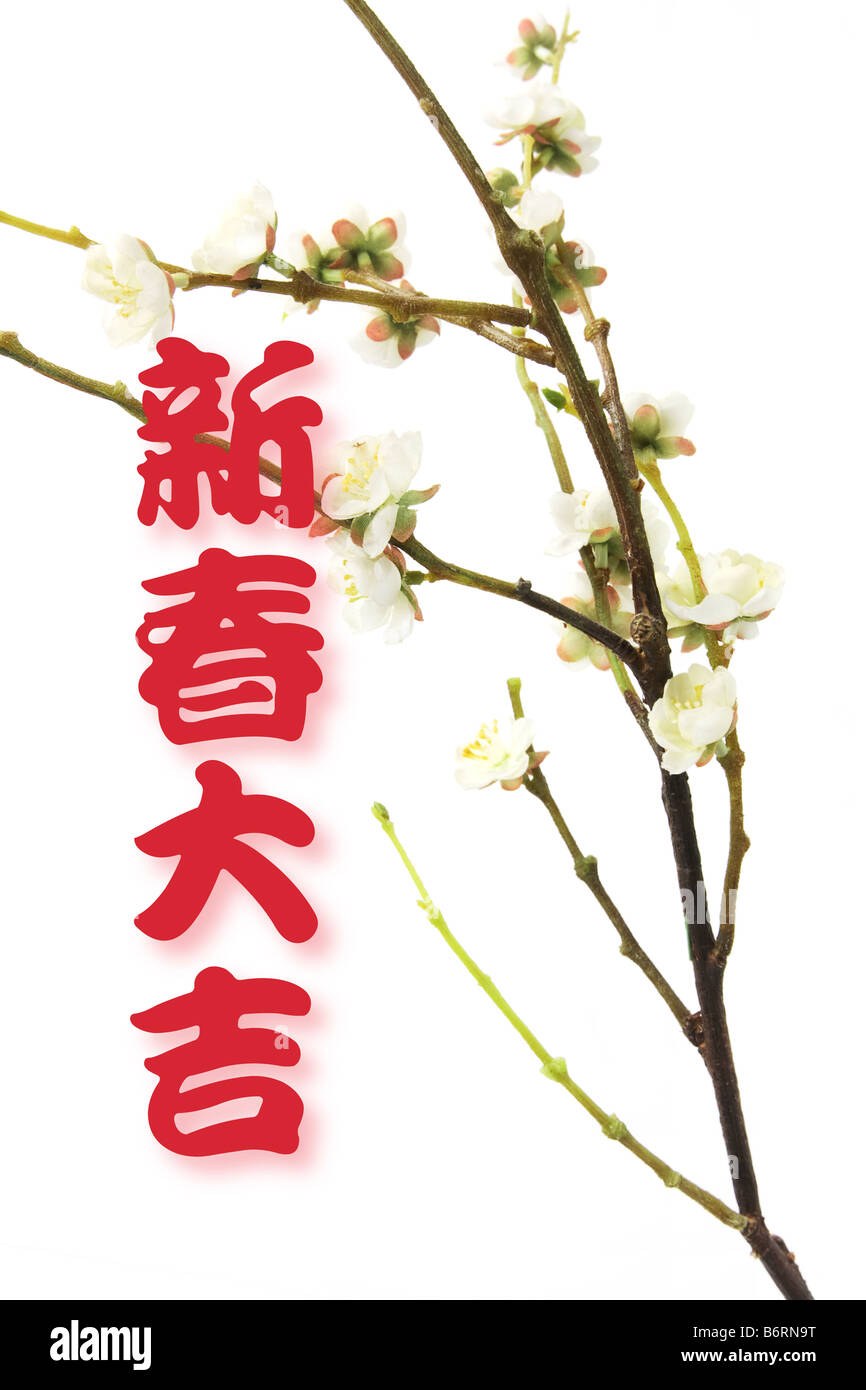 Blossom greetings Cut Out Stock Images & Pictures - Alamy