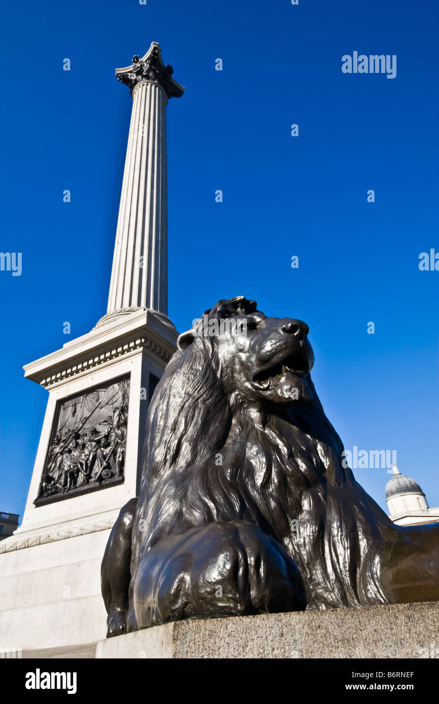 Trafalgar Square Lion Stock Photo - Alamy