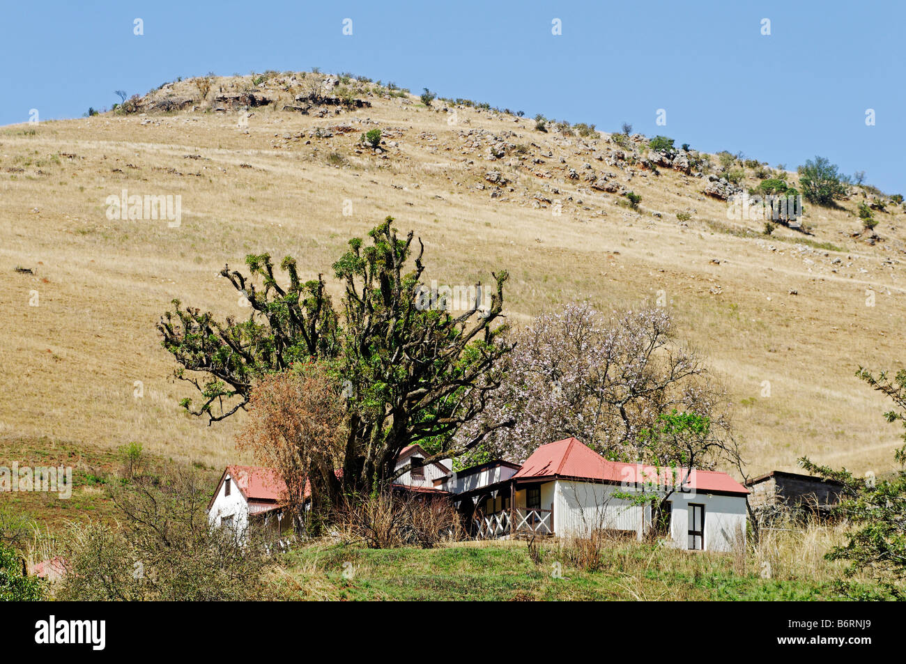 Former gold mining town Pilgrim's Rest Stock Photo - Alamy