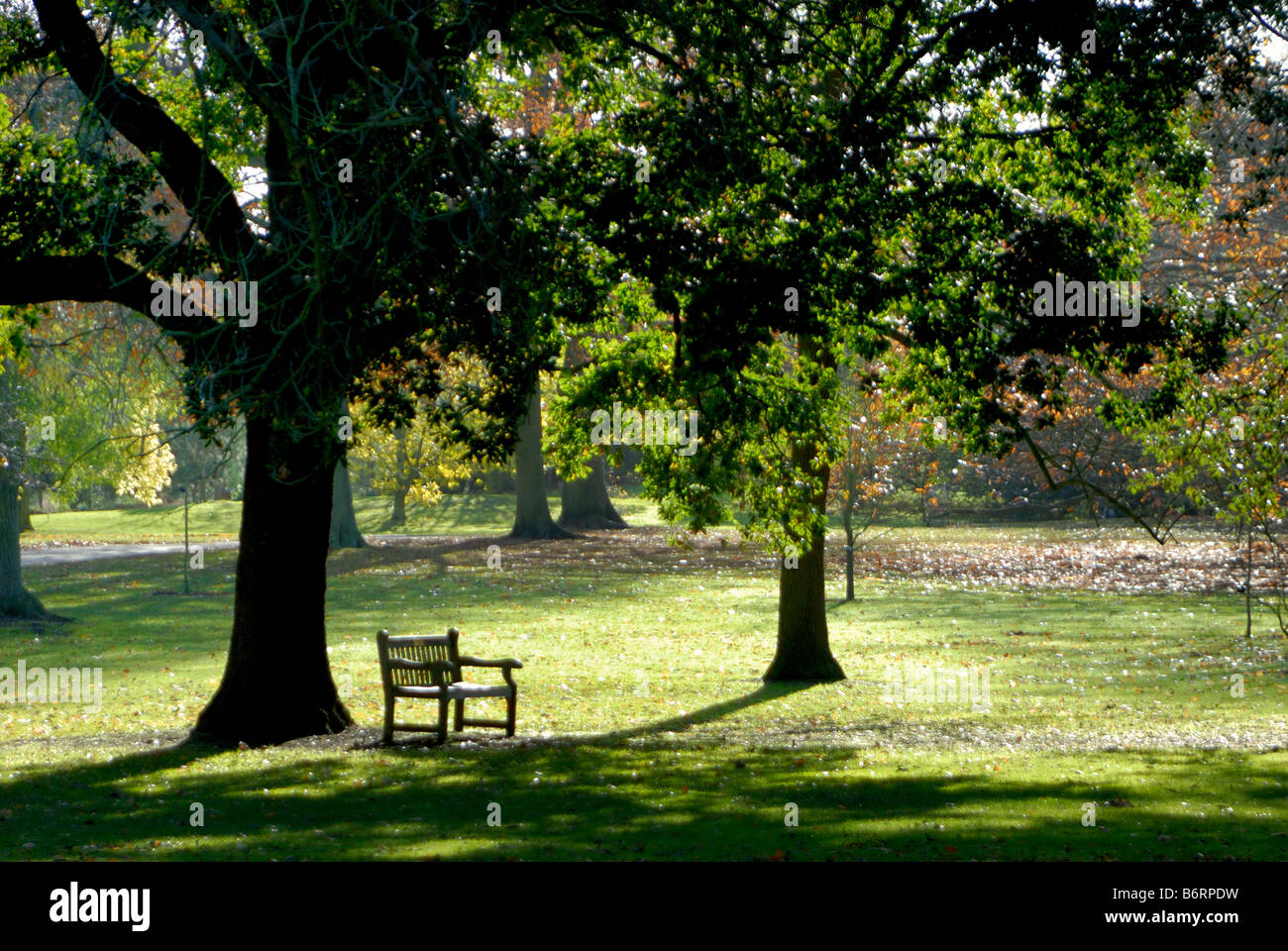 Empty london park bench hi-res stock photography and images - Alamy