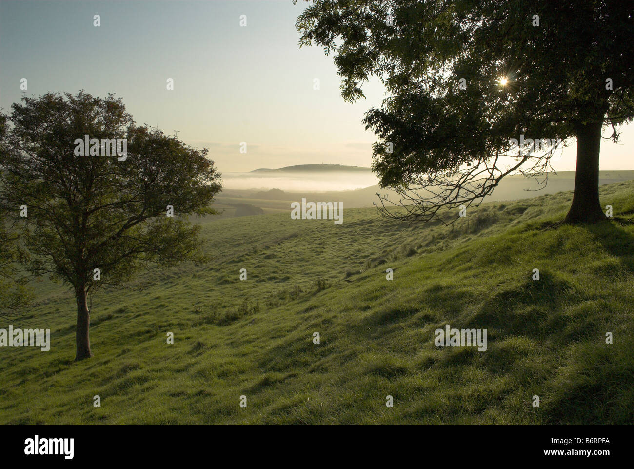 Mist through the trees on the South Downs in West Sussex Stock Photo ...