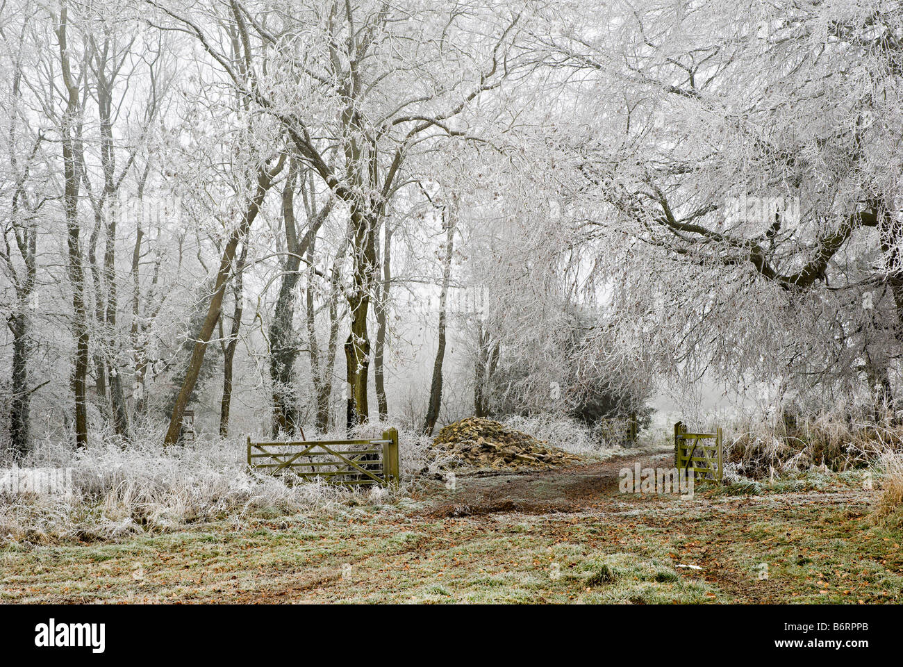 Foggy gates hi-res stock photography and images - Alamy