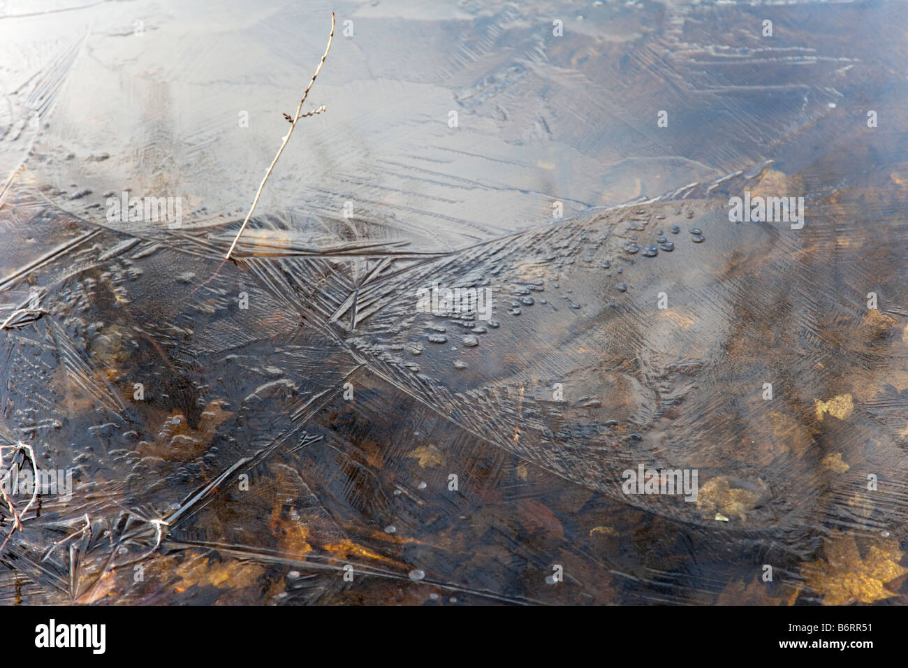Thin ice hi-res stock photography and images - Alamy