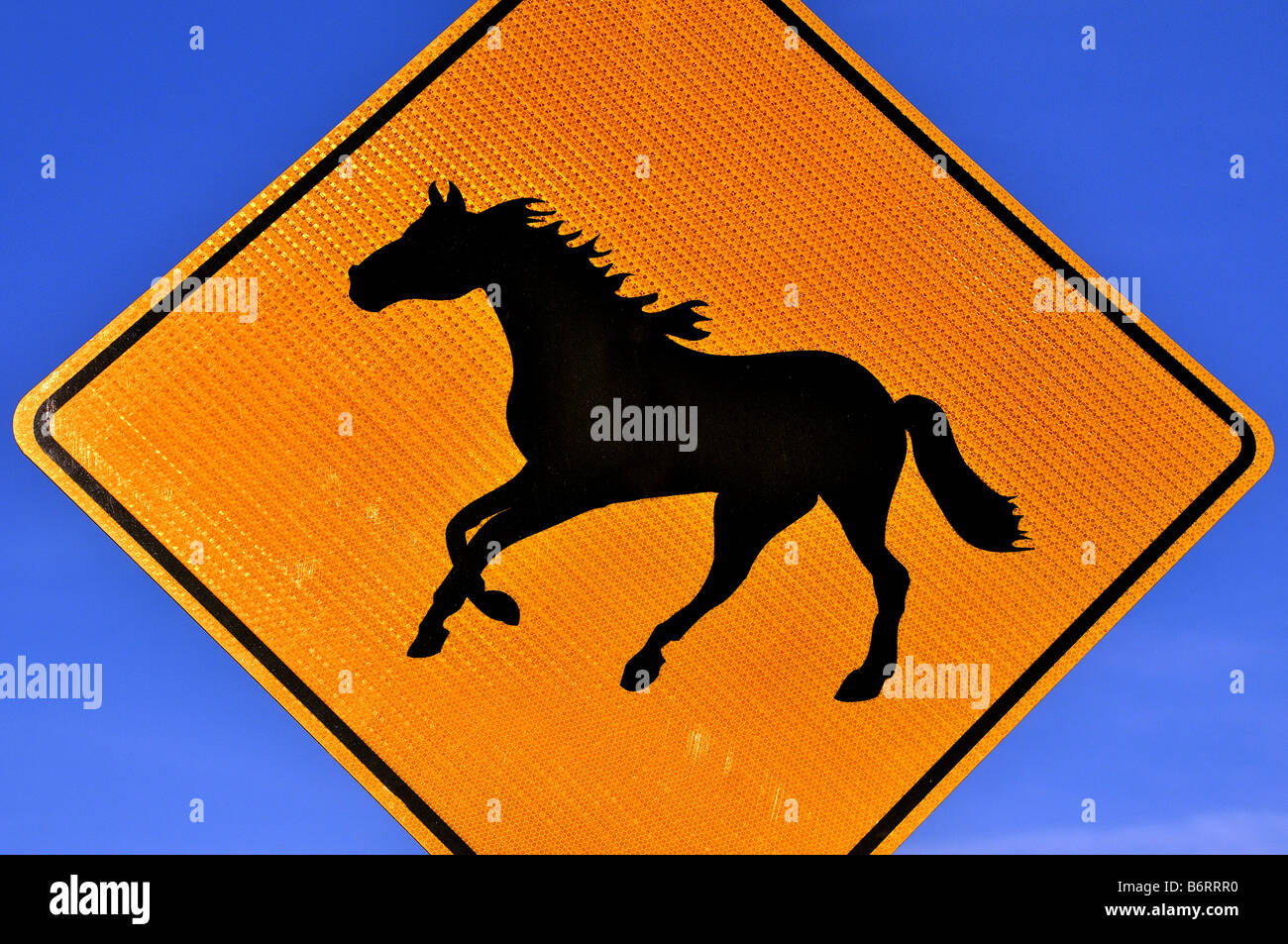Horse Road Sign High Resolution Stock Photography and Images - Alamy
