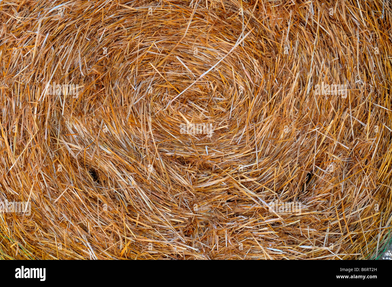 Oat straw hi-res stock photography and images - Alamy