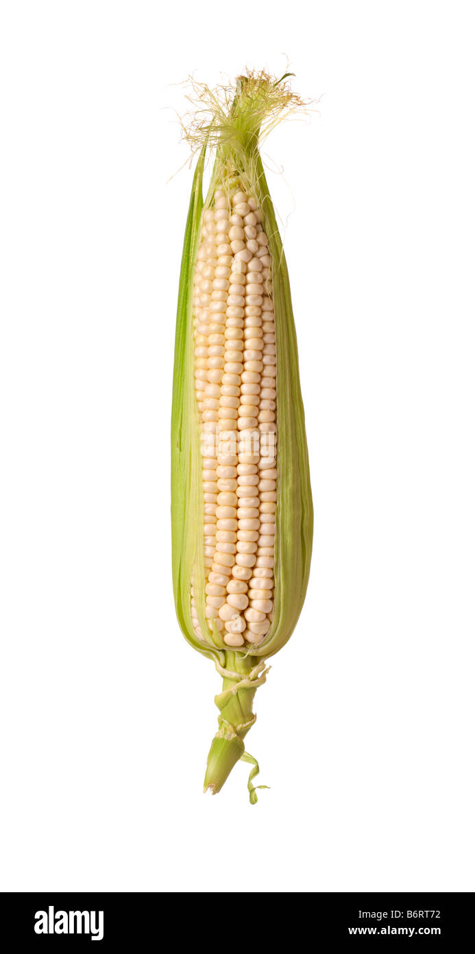 Corn detail Cut Out Stock Images & Pictures - Alamy