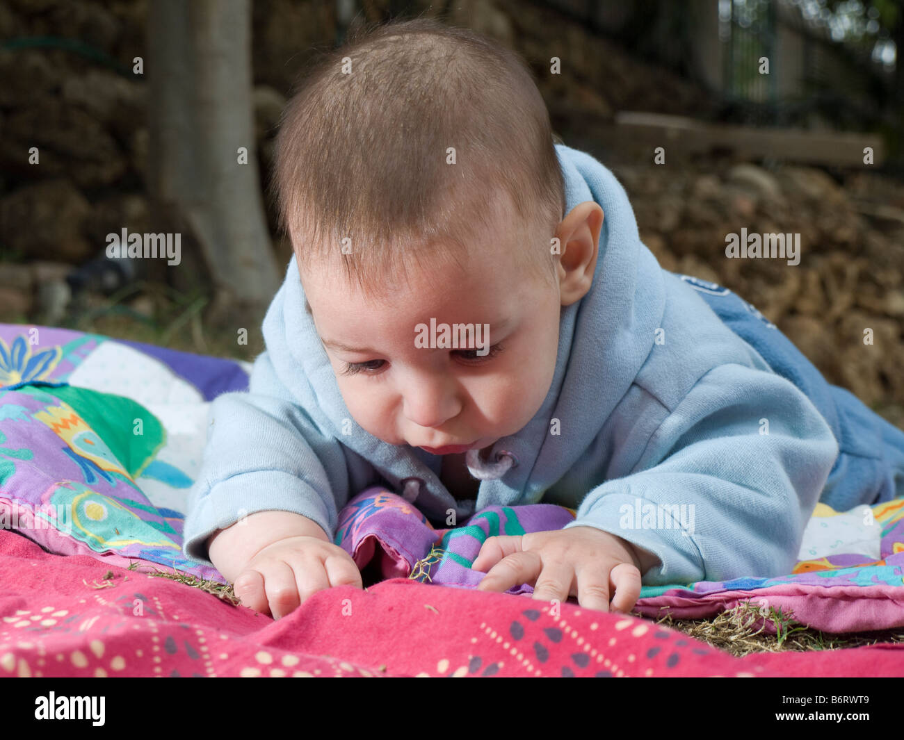 baby curios on the ground lying Stock Photo - Alamy