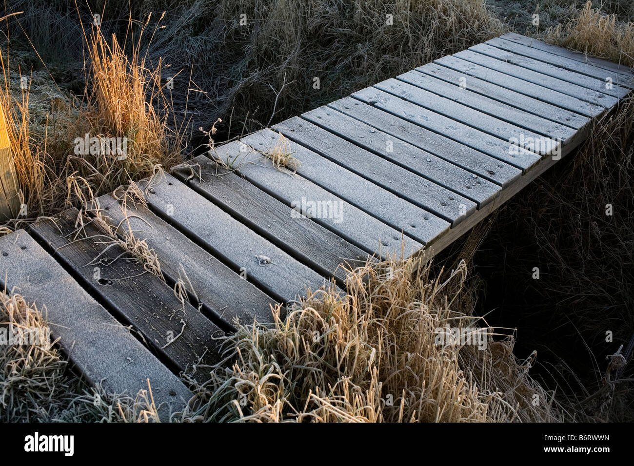 Foot bridge hi-res stock photography and images - Alamy