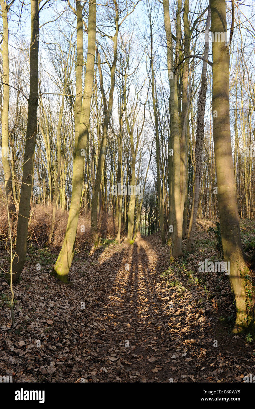 Cotswold way winter gloucestershire hi-res stock photography and images ...