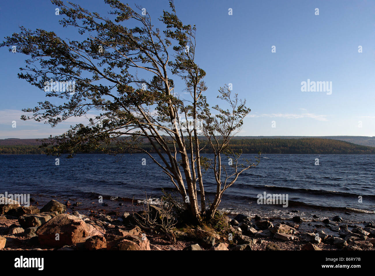 Loch Ness Lake Highland Scotland UK Stock Photo - Alamy
